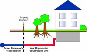 Snohomish Sewer and Water Line Insurance | Forest Park Insurance ...